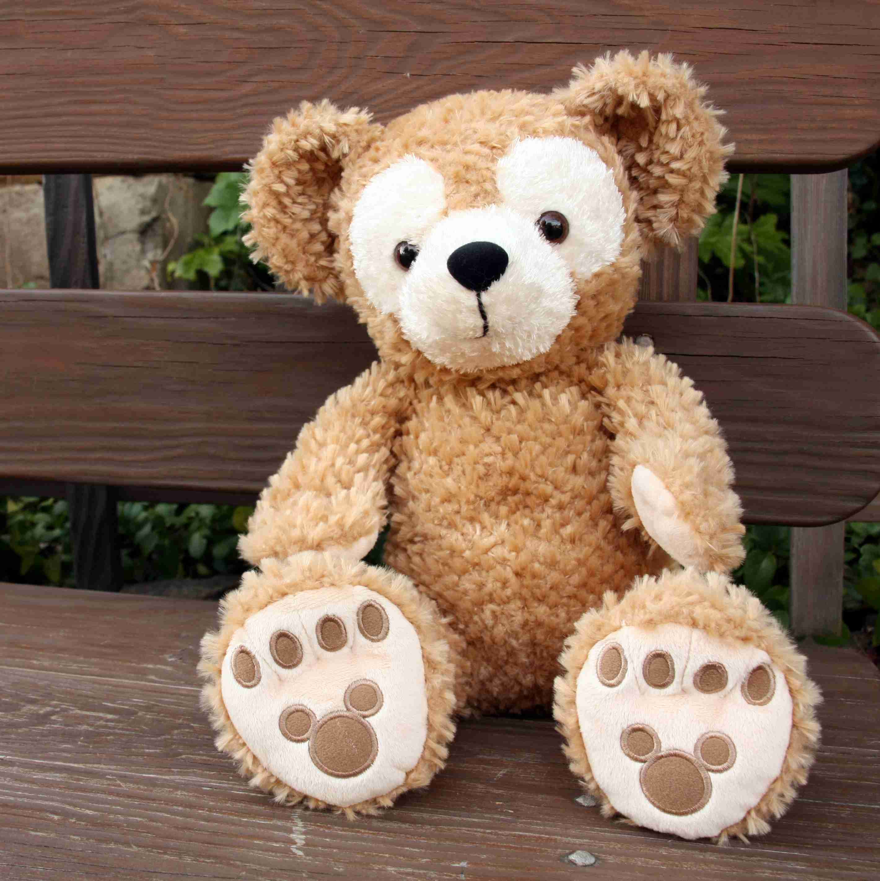 ShopandBox - Buy Duffy Bear from JP